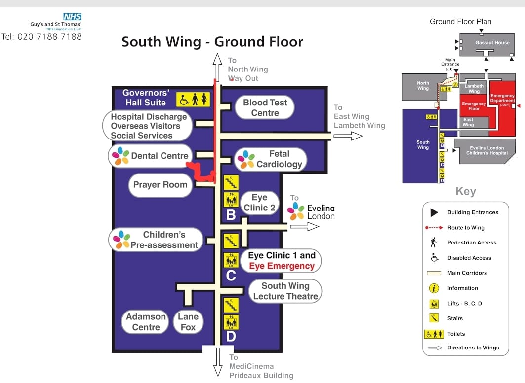 Hospital Guide – St Thomas – Gezint