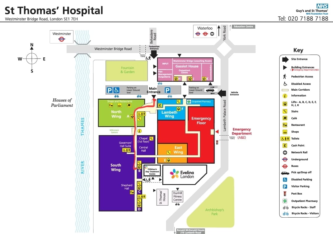 Hospital Guide – St Thomas – Gezint